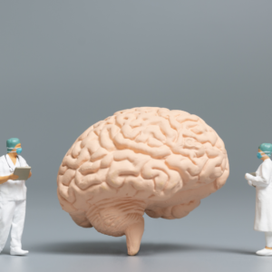 An Introduction to Motor Neuron Disease What is it and How Does it ...